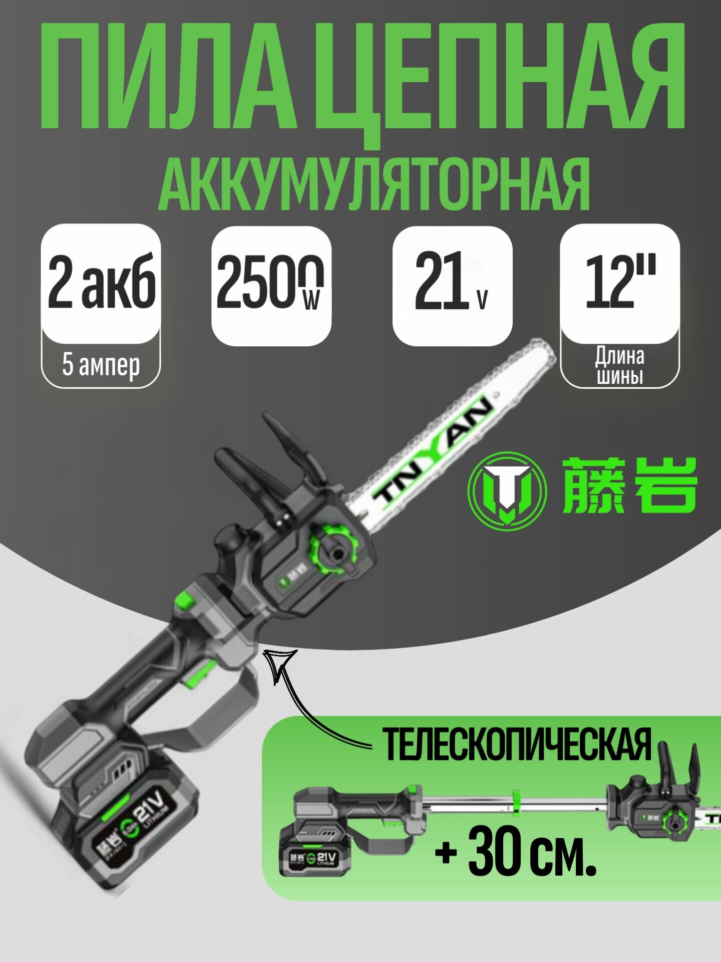 Tenyn аккумуляторная цепная пила 12 дюймов телескопическая