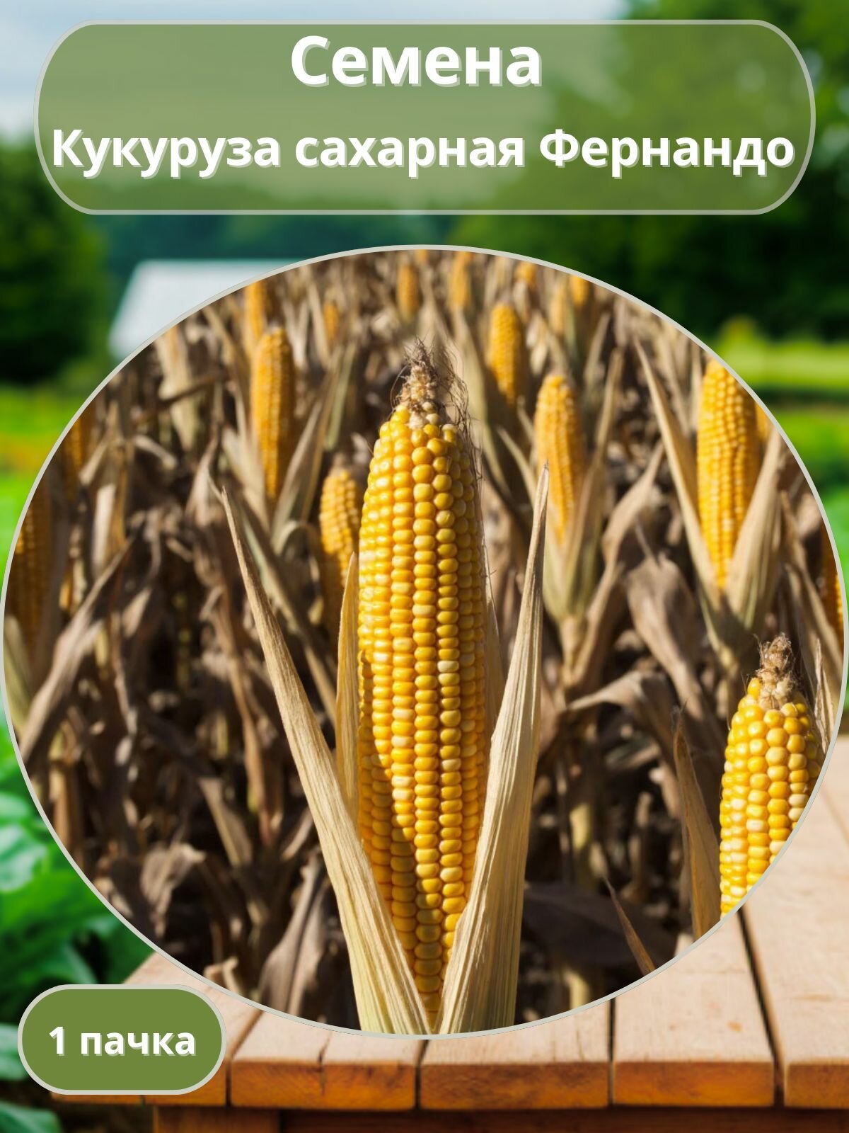 Кукуруза сахарная Фернандо, семена 10 шт