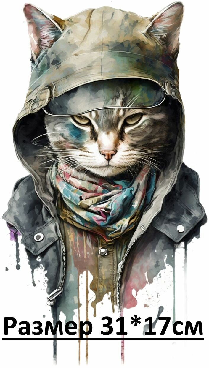 Кот