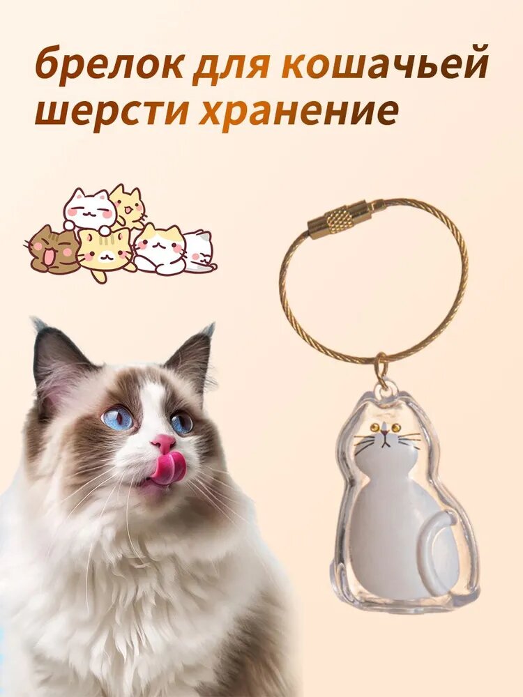 Памятный кулон-капсула из кошачьей шерсти, в форме кошки, Прозрачный, подарок для любителей кошек