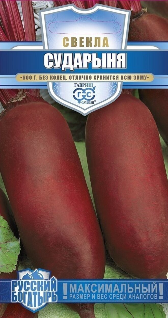 Семена овощей Гавриш Русский богатырь свекла Сударыня, для дачи, сада, огорода и на рассаду