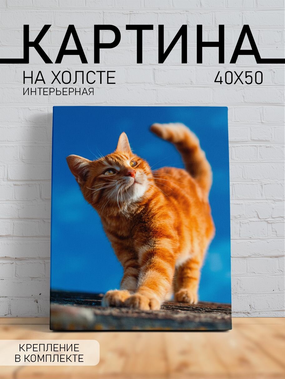Картина на стену для интерьера на холсте с подрамником "Кот. Кошка. Рыжий кот", 40х50 см