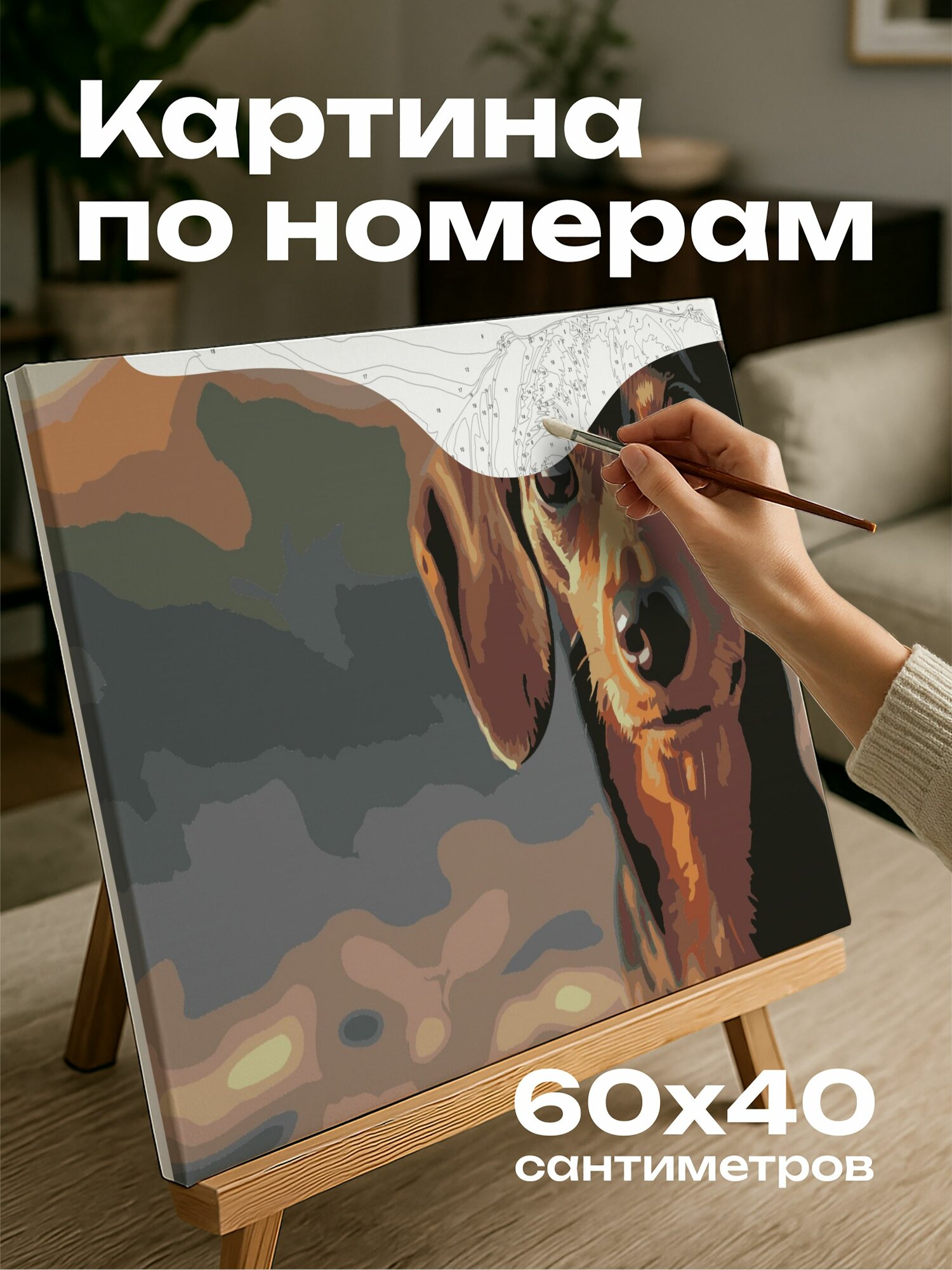Картина по номерам 60x40 см, собака, такса, глаза, песчаный пляж, Canon EF 24-70mm, фотография, разрешение 50 мм, f