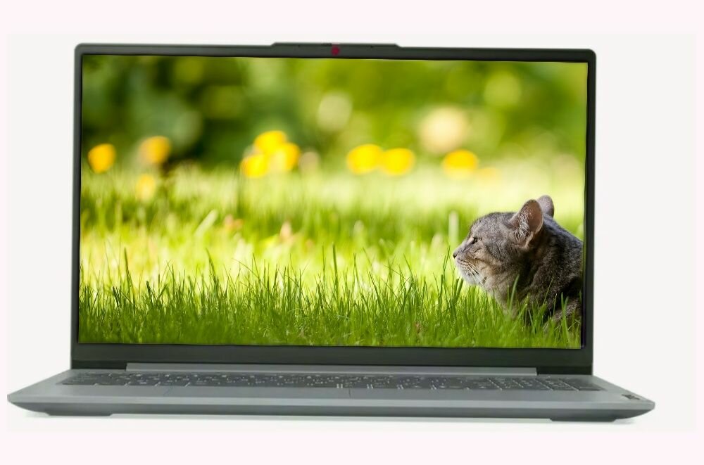 Ноутбук Lenovo Intel Celeron 2,8ГГц 2 ядер. 15' 1920x1080 Intel UHD Graphics Windows 11 Pro Русская раскладка