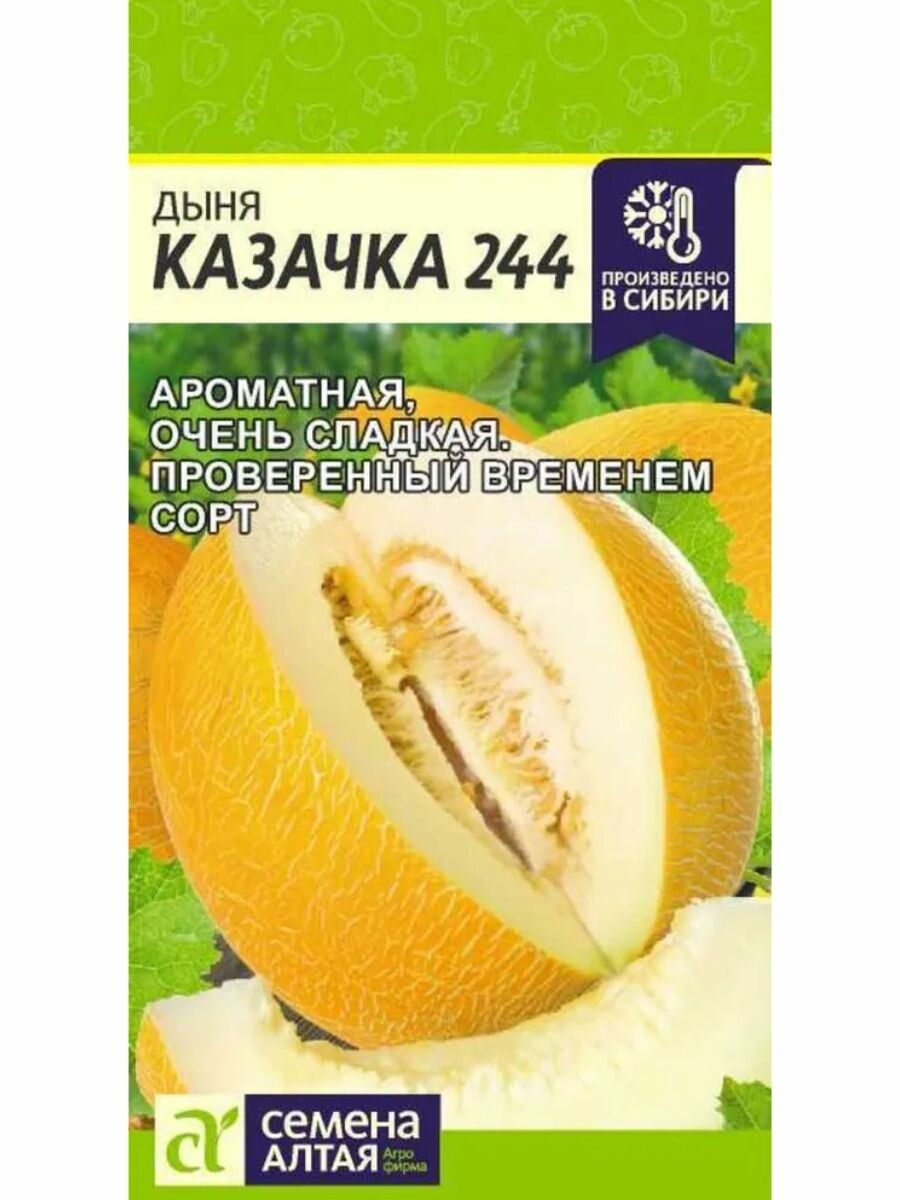 Дыня семена Казачка 244 1 г, ароматная, очень сладкая, проверенный временем сорт