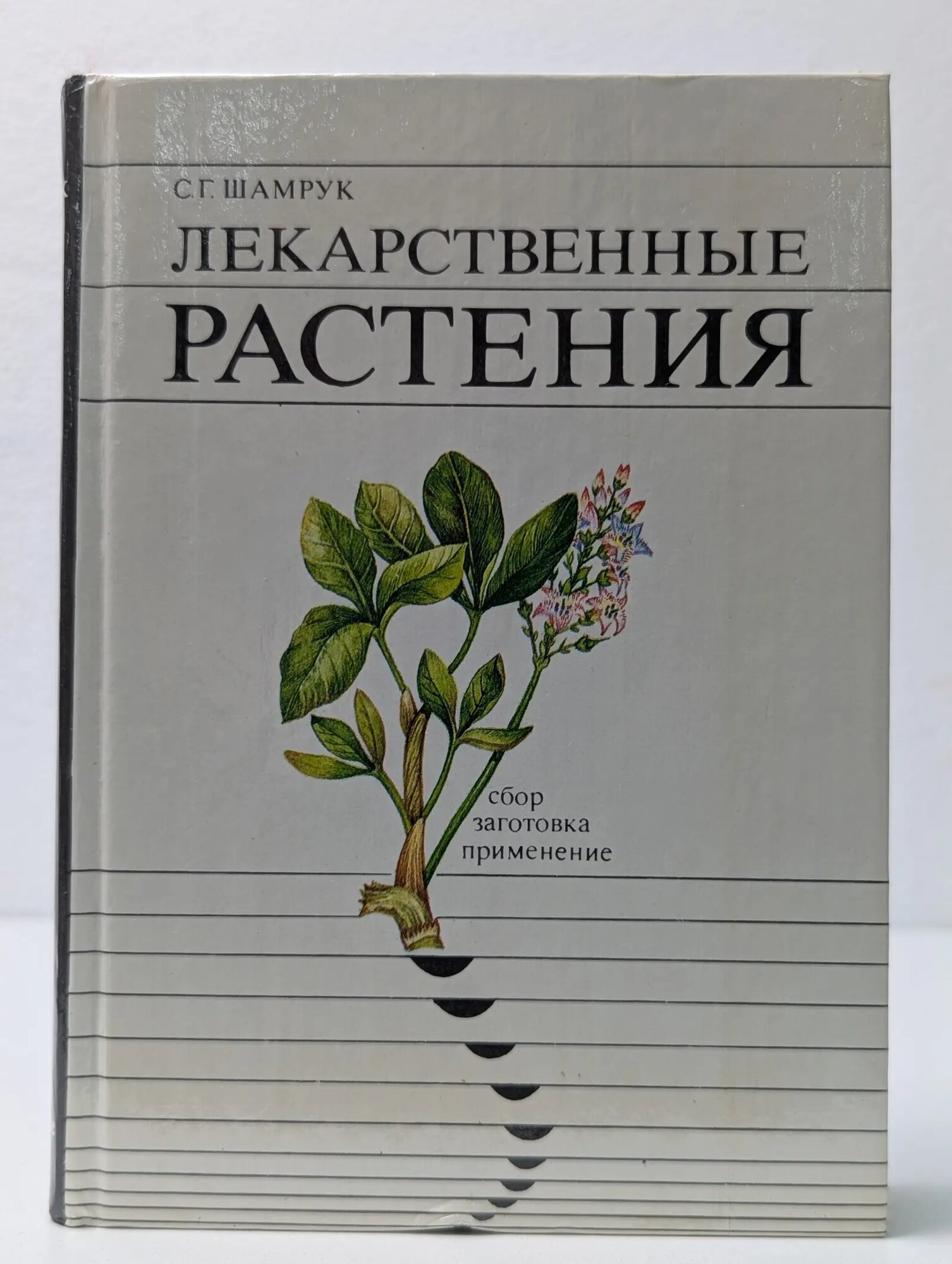 Лекарственные растения: сбор, заготовка, применение Шамрук Сергей Григорьевич 1989
