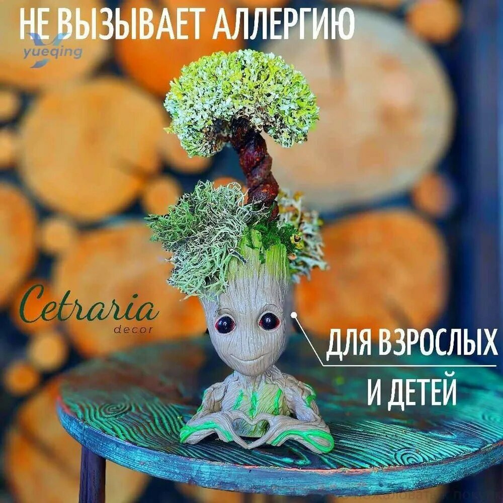 ShimeiУкрашение настольное интерьерное