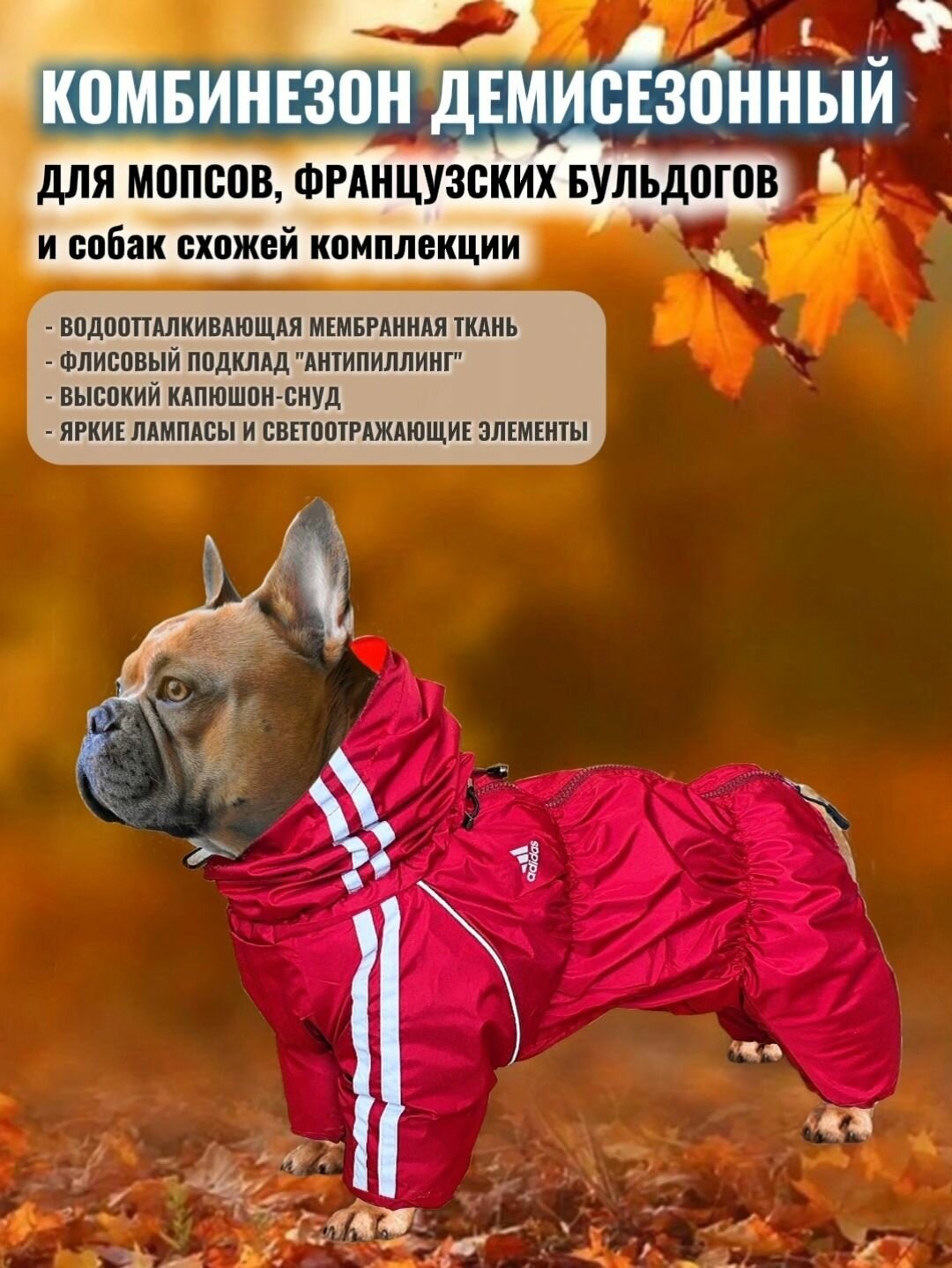 Комбинезон демисезонный для французских бульдогов и пород схожей комплекции, красный, ФР-2