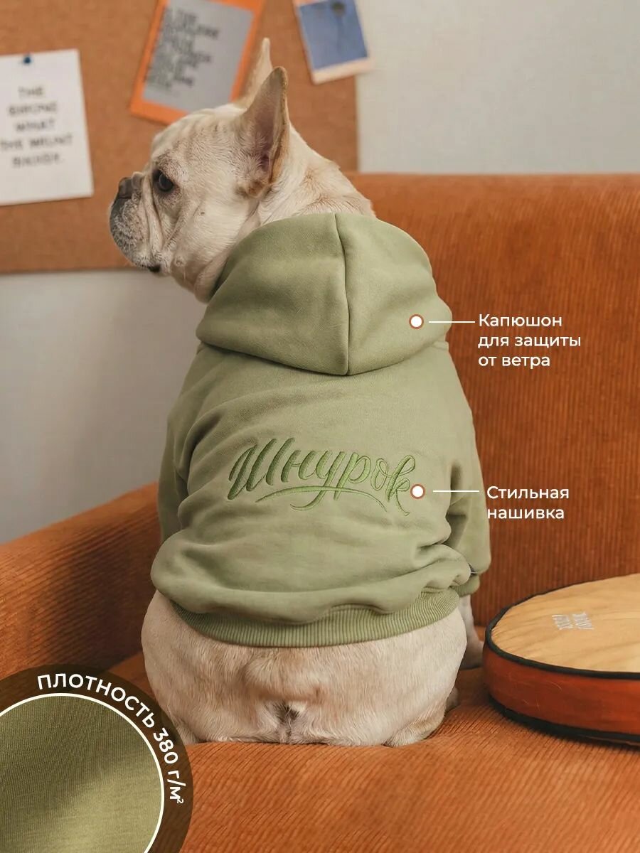 Одежда для собак кофта (французский бульдог)