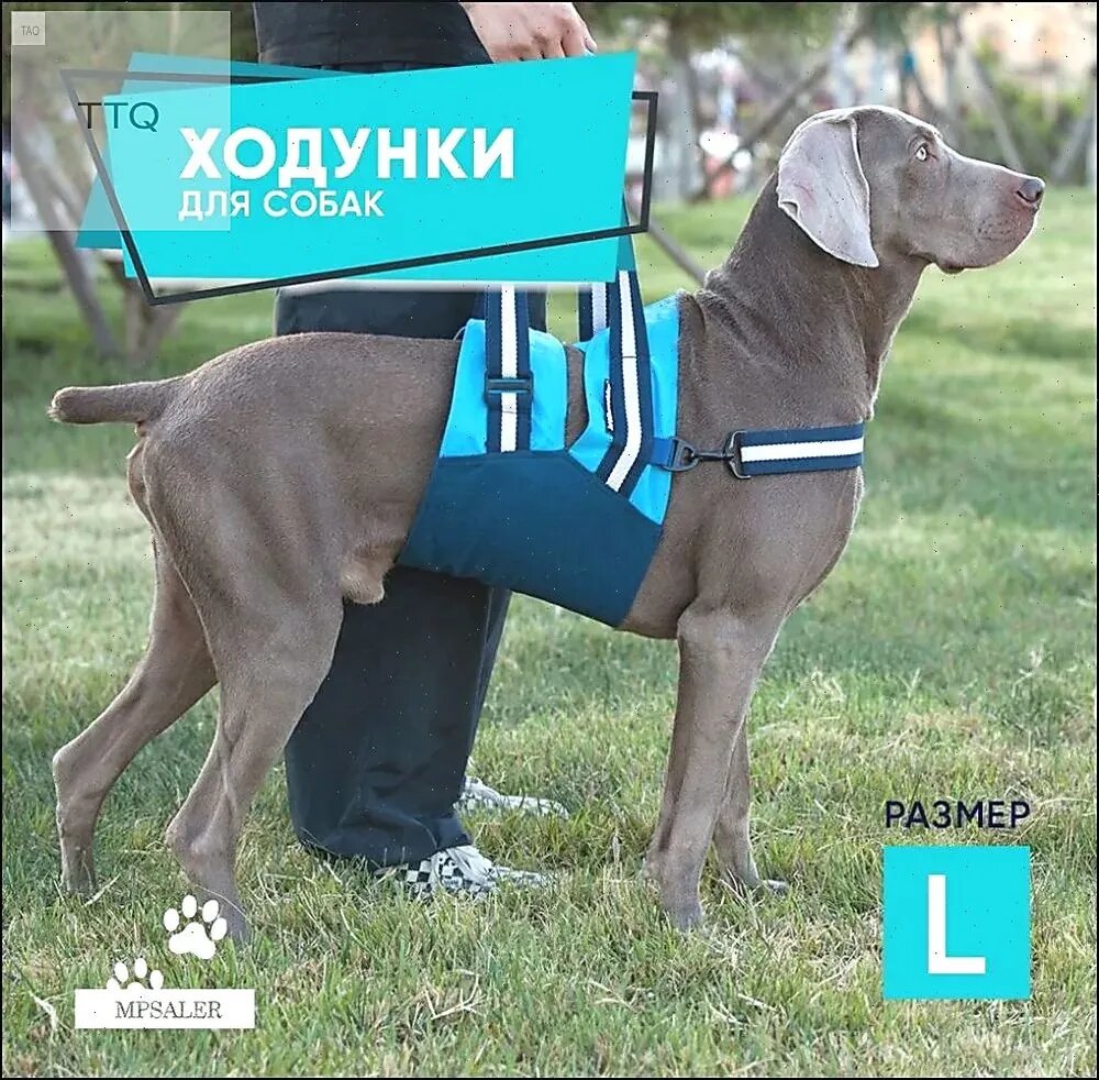 Ходунки для собак L размера для поддержки пожилых и больных питомцев