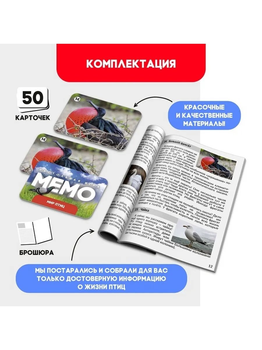 Образовательное мемо «Птичий мир» — игра для развития памяти