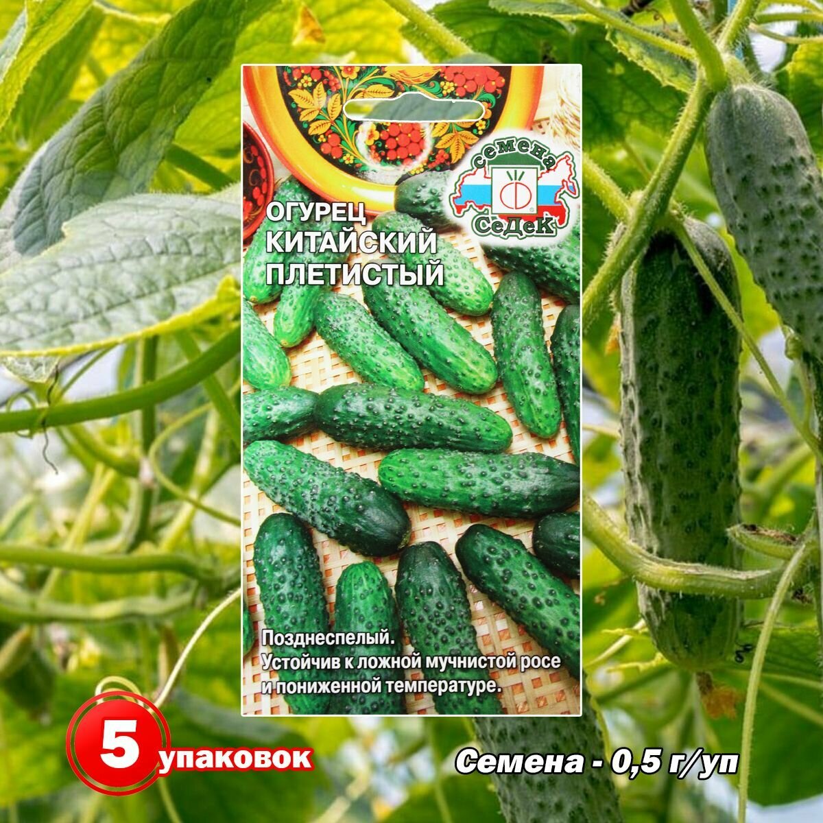 Семена Седек огурец Китайский плетистый 0,5г 5 упаковок