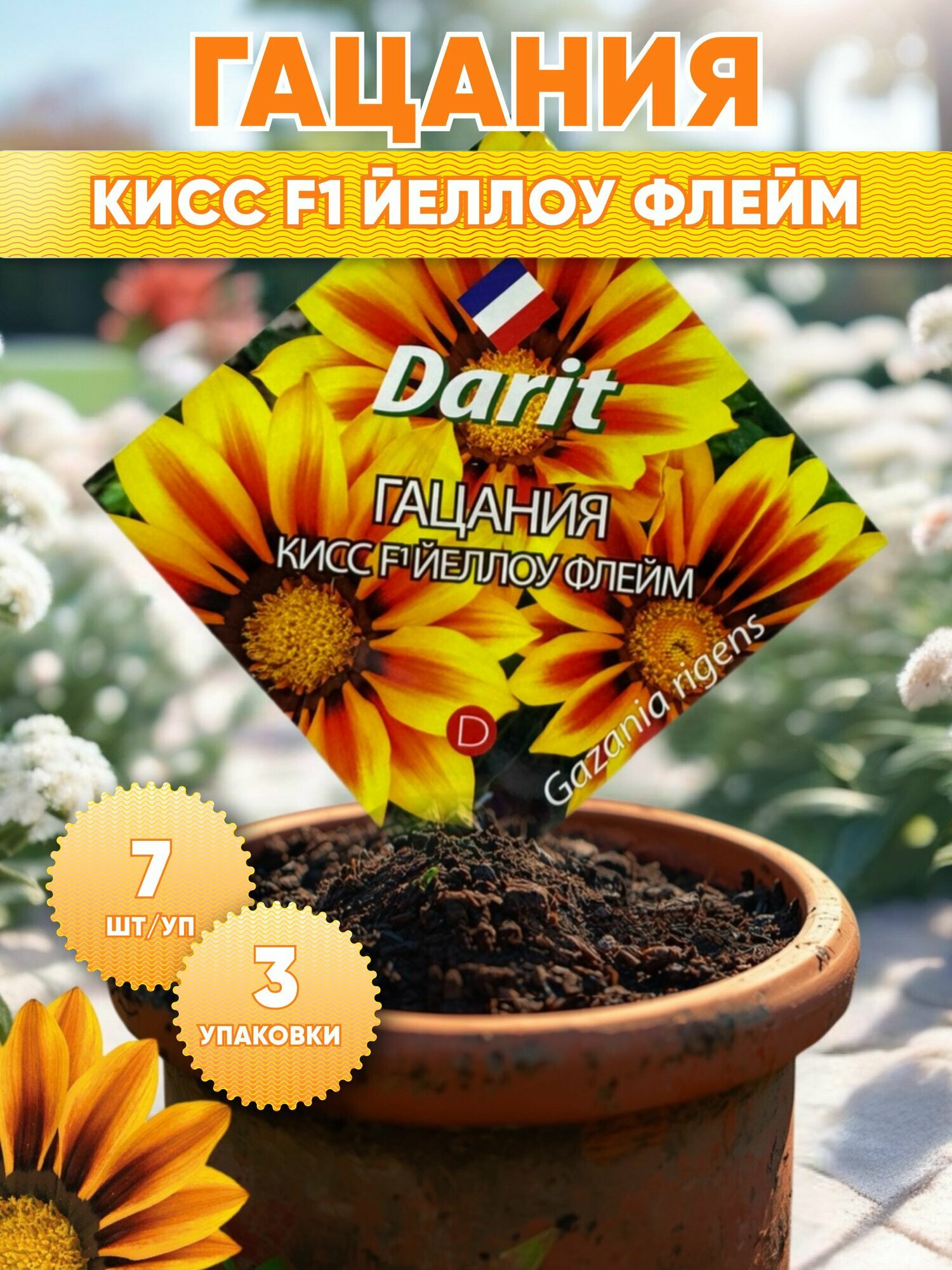 Семена Гацания Кисс Йеллоу Флейм F1 7шт/1уп, (3 упаковки) Darit