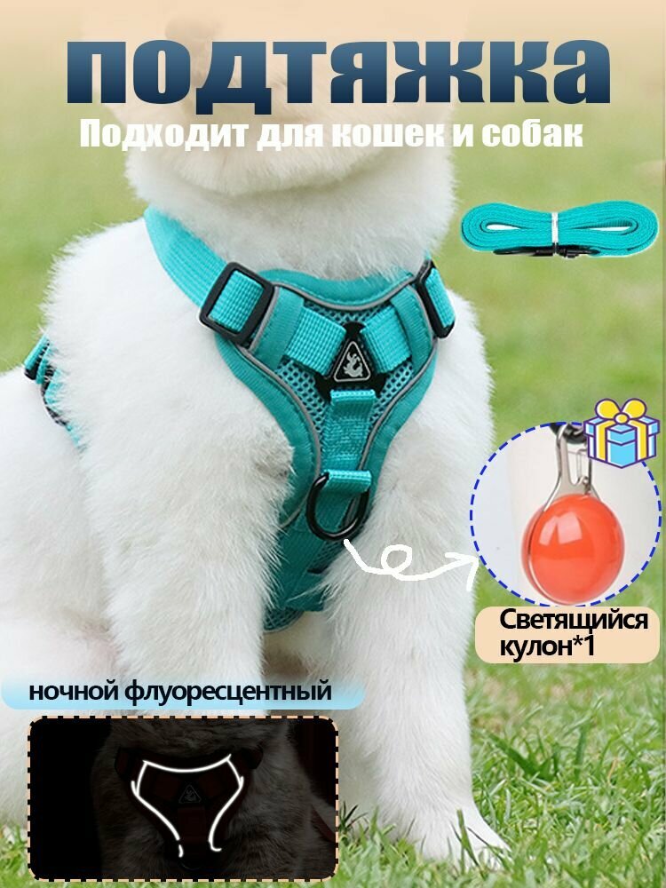 Шлейка для собак мелких и средних пород, для кошек