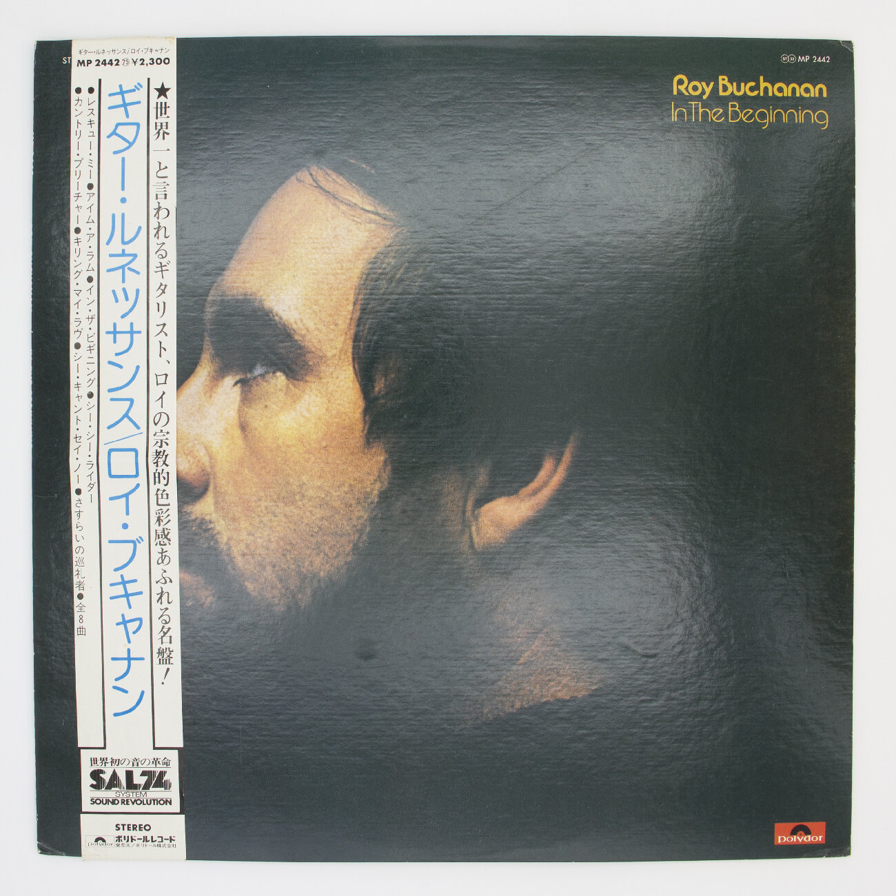 Виниловая пластинка Roy Buchanan - In The Beginning, 1xLP, EX