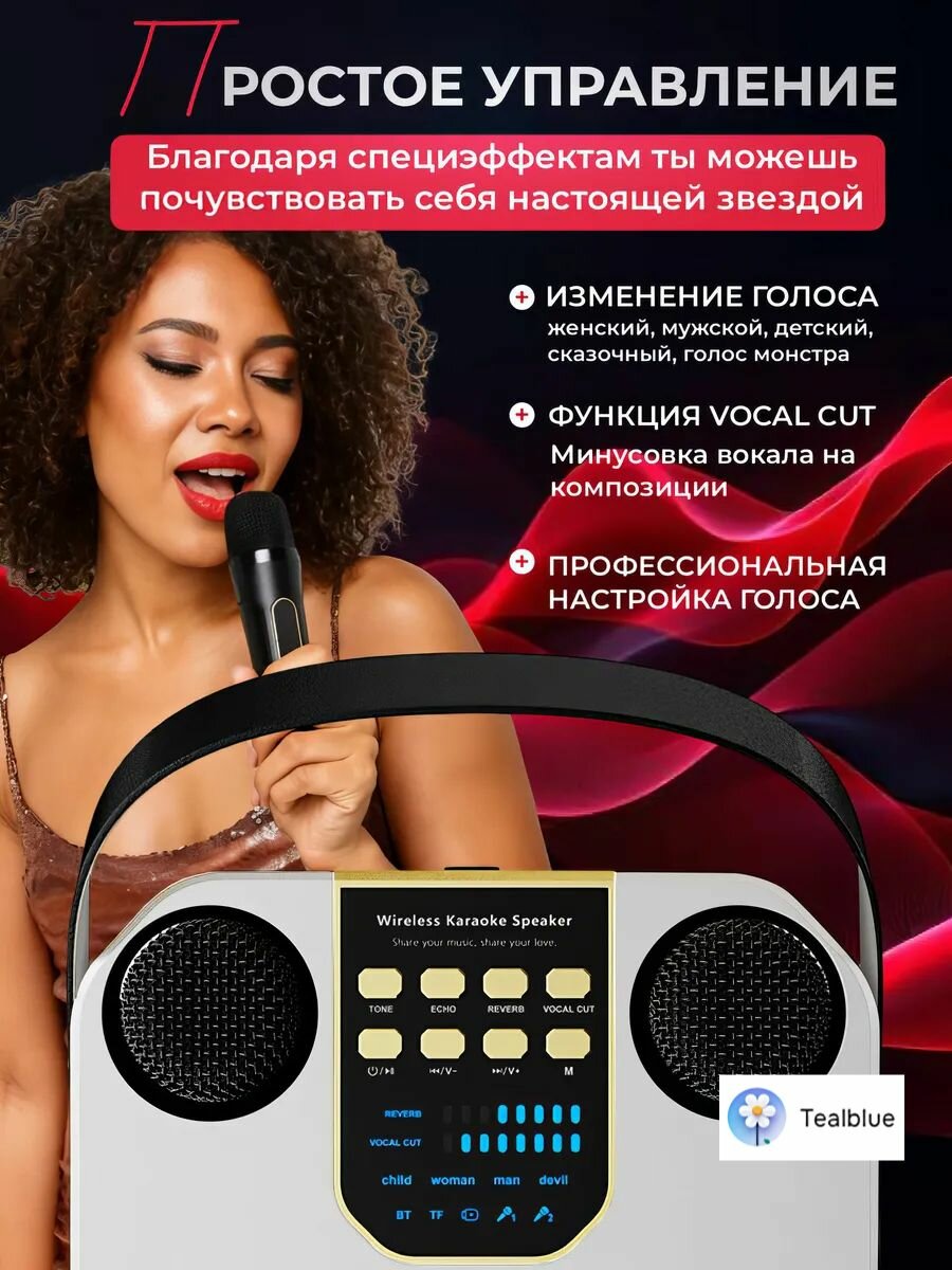 Караоке-система — фото 1