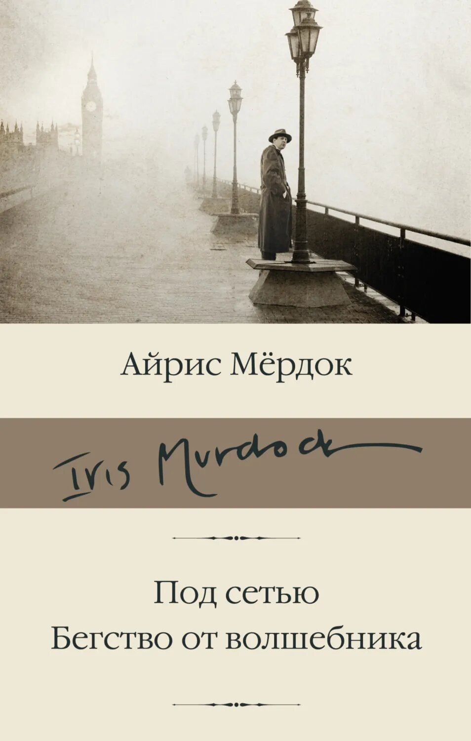 Под сетью. Бегство от волшебника [Цифровая книга]