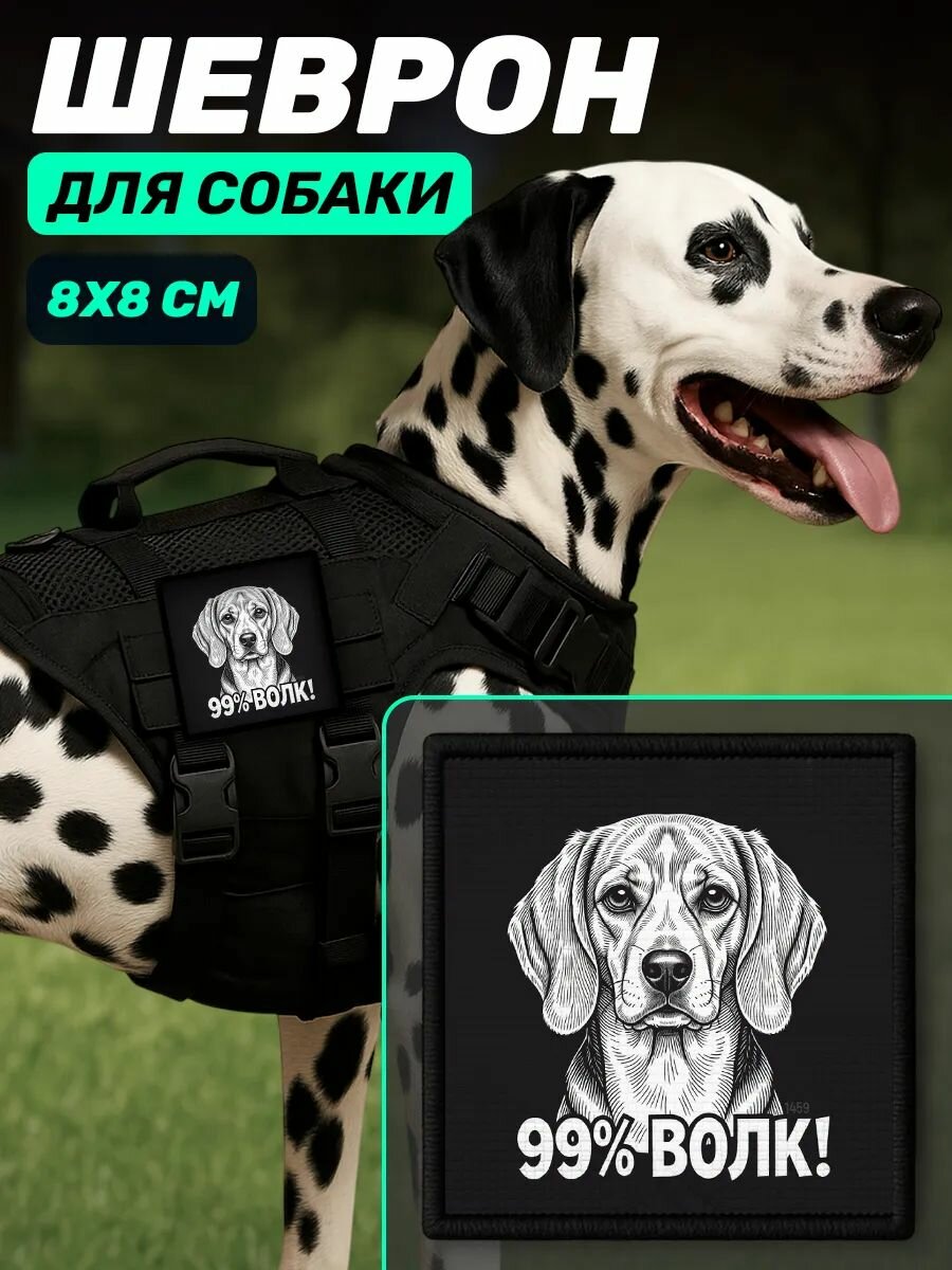 Шеврон на липучке для собаки 99% волк Бигль