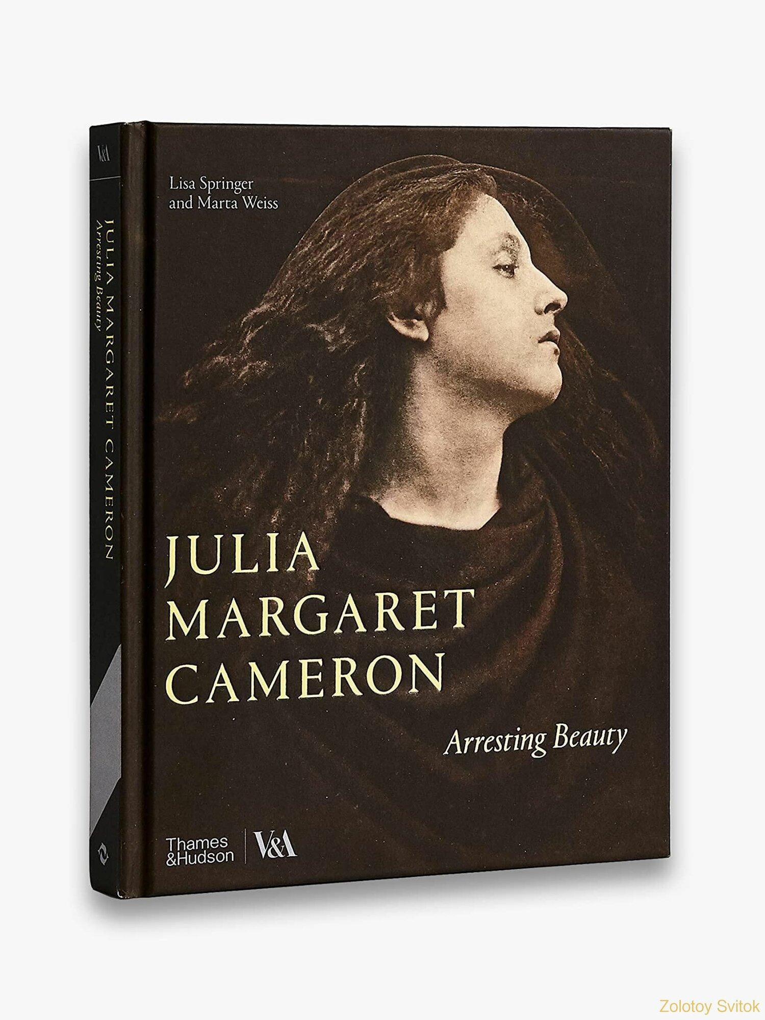 Julia Margaret Cameron Arresting Beauty (Victoria and Albert Museum)