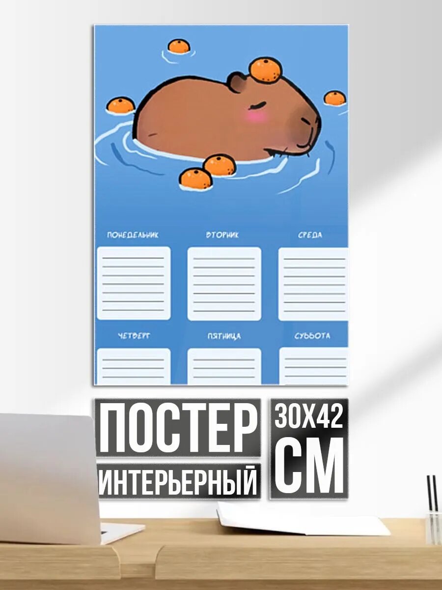 Постер на стену Капибара с мандаринками - Расписание уроков