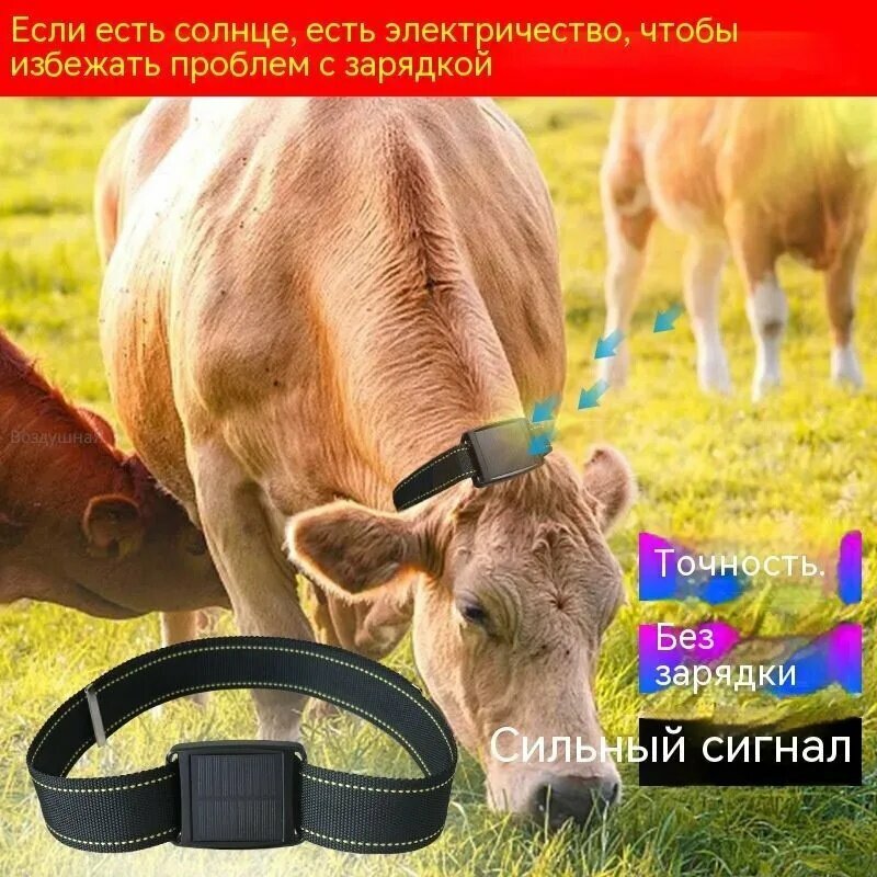 Шнурок для адресника — фото 1