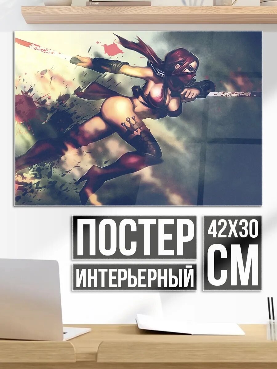 Плакат постер Девушка ниндзя