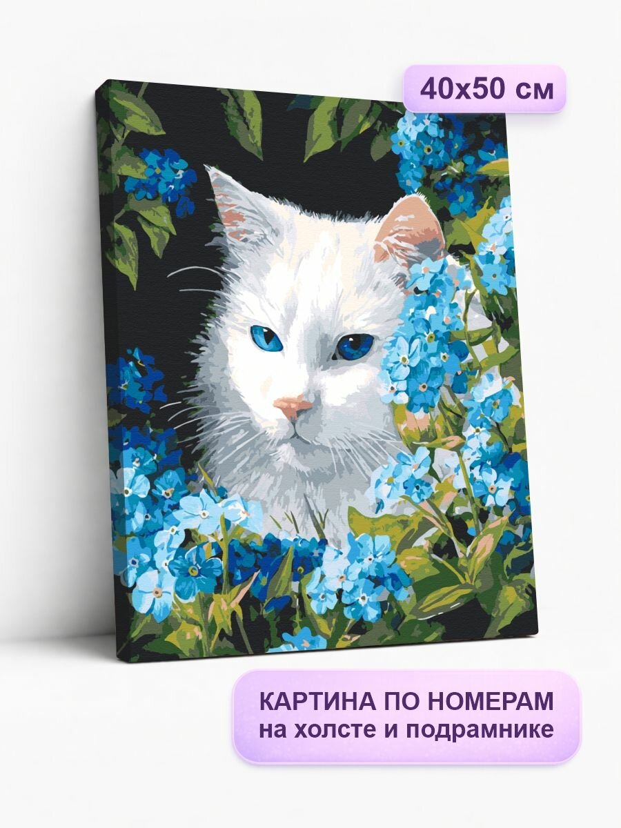 Картина по номерам на холсте с подрамником 40х50 см. Природа, животные, рыбы, птицы. Кот, кошка, котенок. "Белый кот в незабудках", арт. 8763/