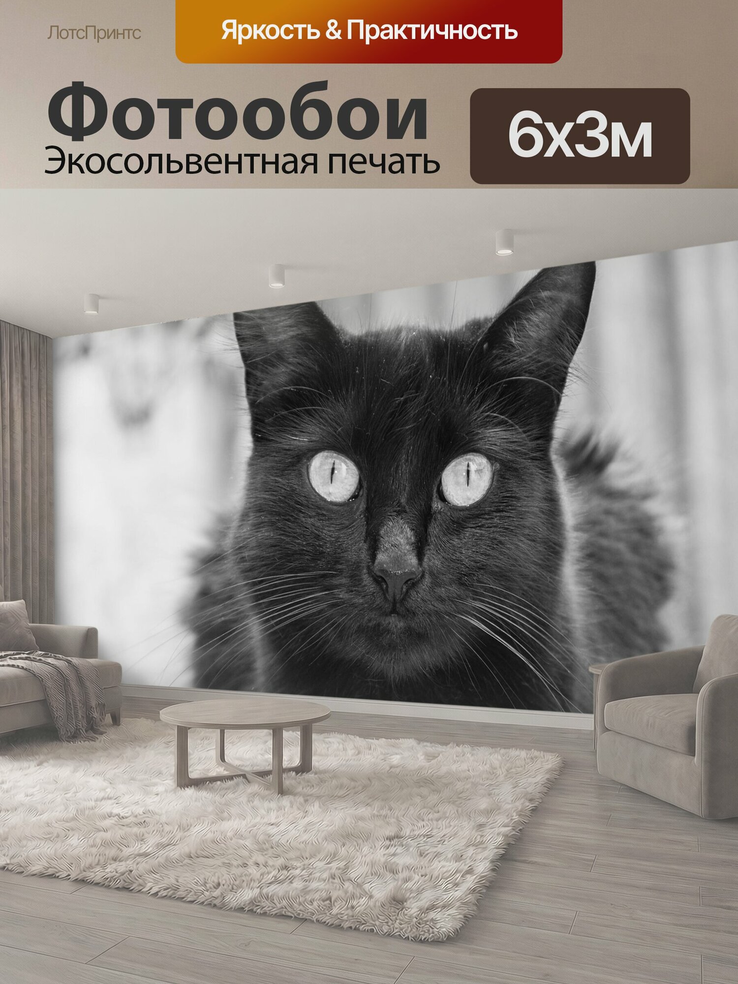 Фотообои "Гато, кошка, ан" 600x300 см. экосольвентная печать
