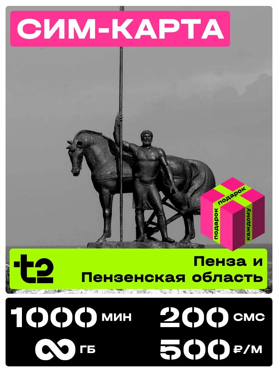 Сим карта теле 2 с безлимитным интернетом. t2 SIM-карта тариф Партнер М Пензенская область. 1000 минут за 500 рублей в месяц.