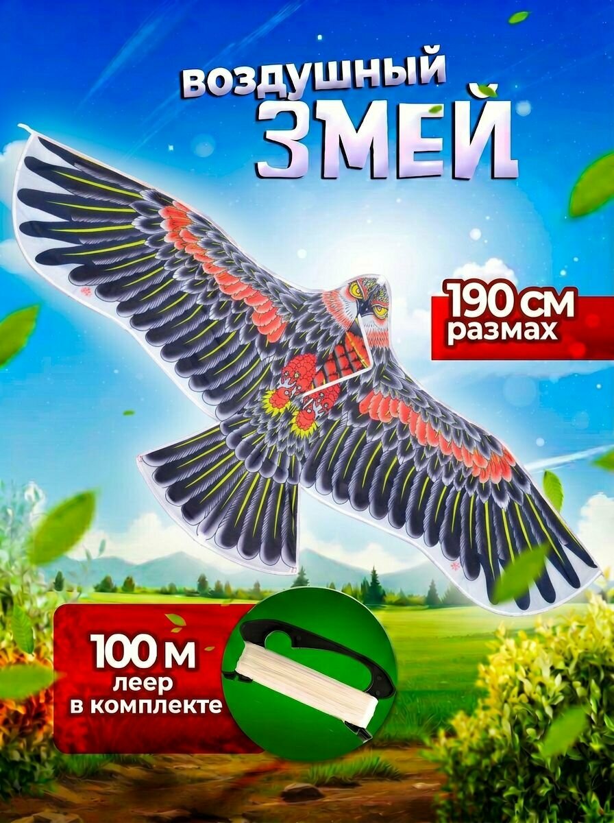 Воздушный змей Черный Ястреб с катушкой 100м, размах 190см / Управляемый летучий змей для игры на улице
