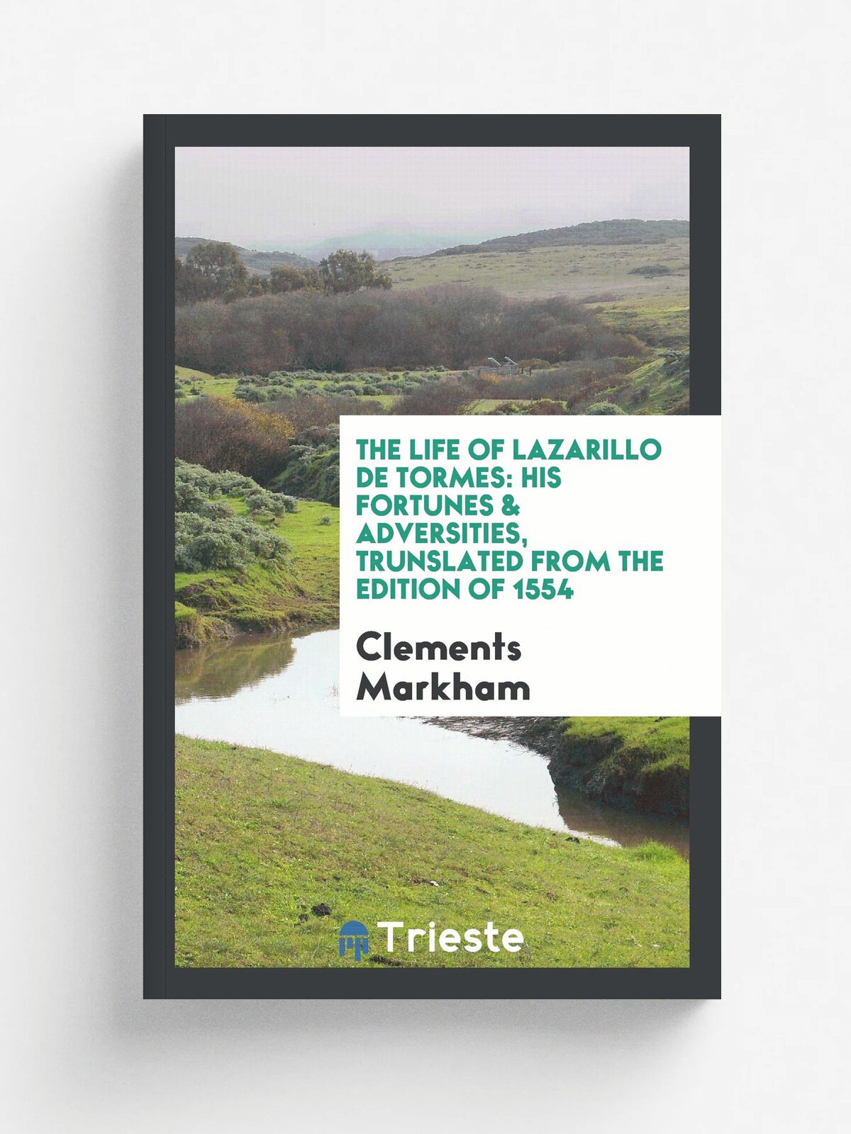 The Life of Lazarillo de Tormes. His Fortunes & Adversities
