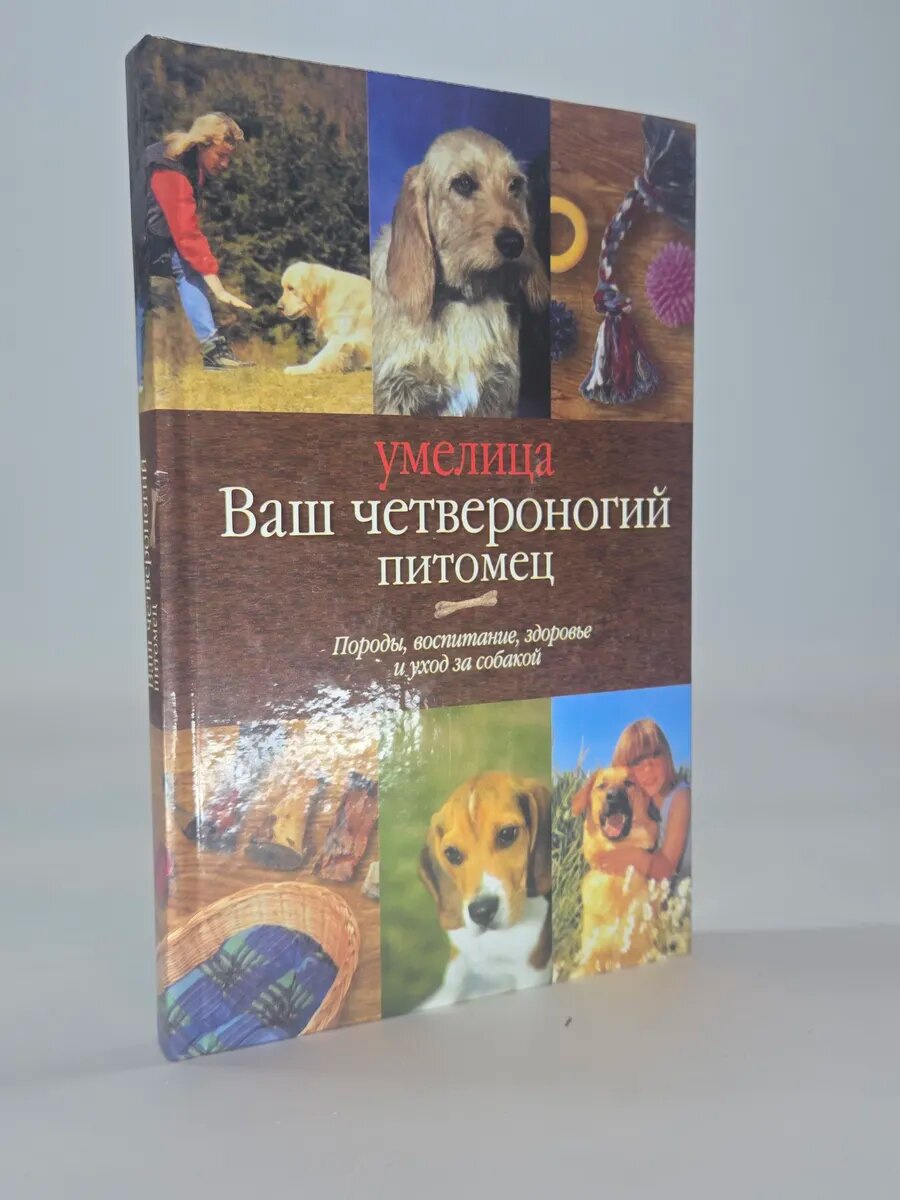 Ваш четвероногий питомец