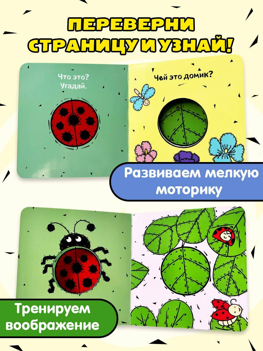 Чей это домик? — фото 1