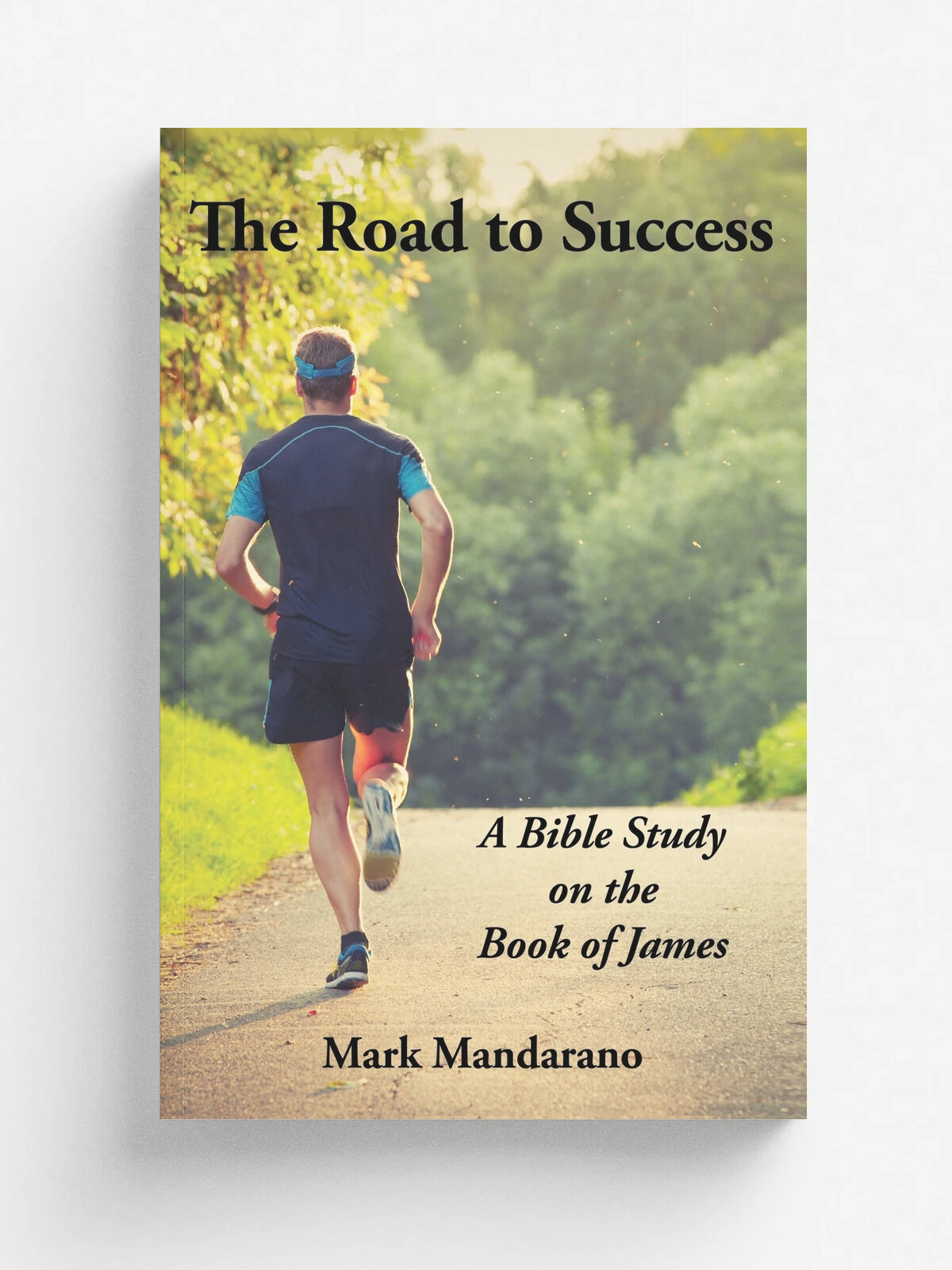 The Road to Success. A Bible Study on the Book of James