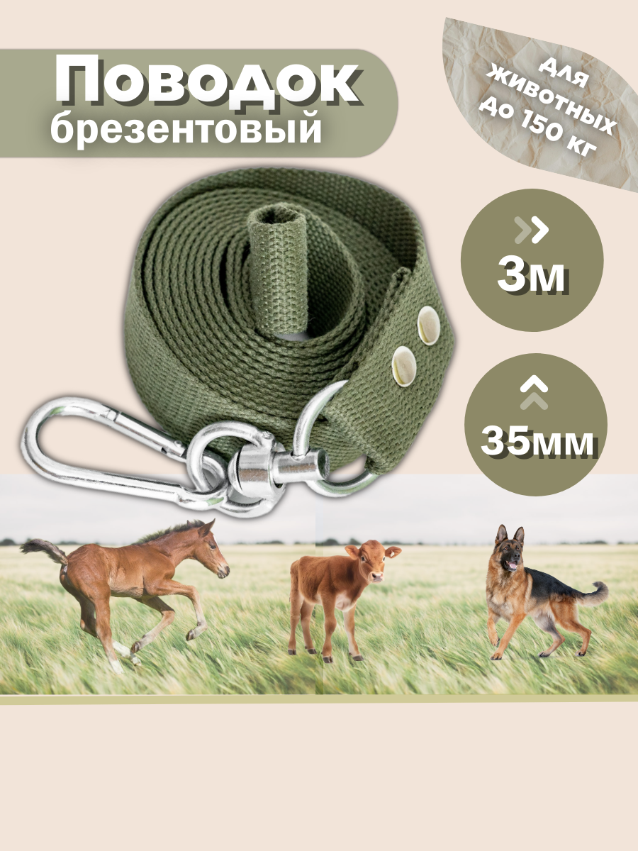 Поводок для крупных собак брезентовый 3 метра 35 мм (зелёный)
