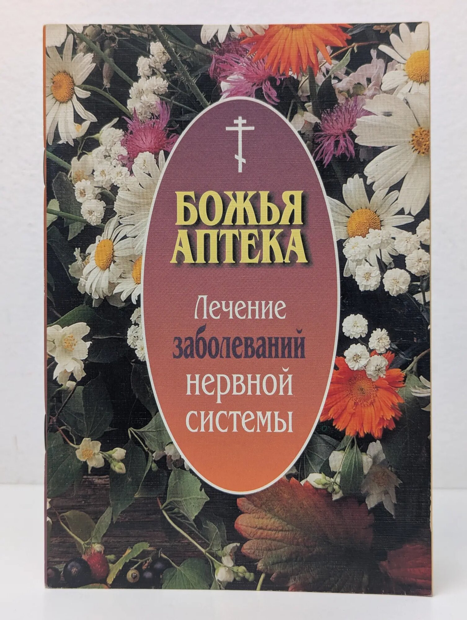 Божья аптека. Лечение заболеваний нервной системы Киянова Ирина Васильевна (сост.) 2005