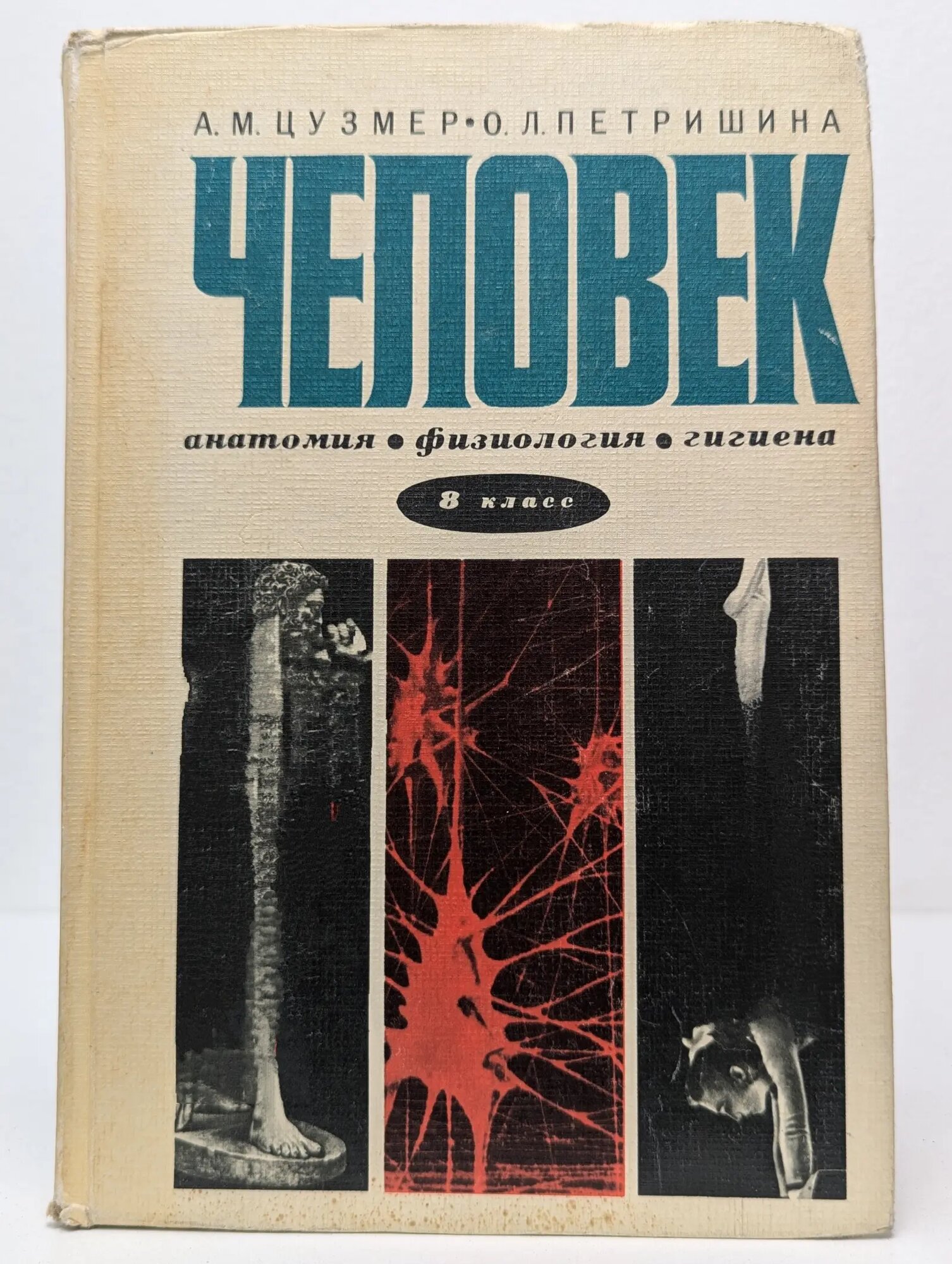 Человек. Анатомия, физиология и гигиена. 8 класс Цузмер Анна Моисеевна, Петришина Оксана Леонтьевна 1976