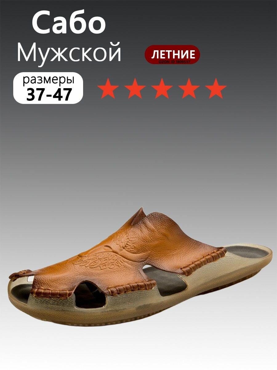 Сабо  нью