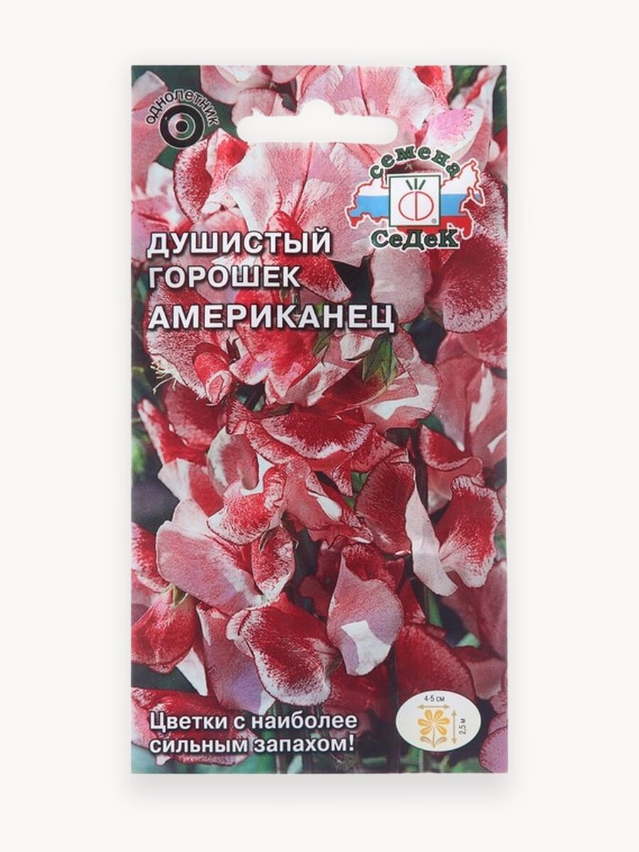 Семена цветов СеДеК Душистый Горошек "Американец", однолетнее
