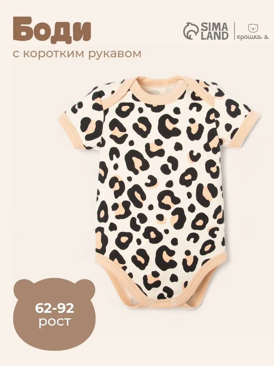 Боди новорожденные