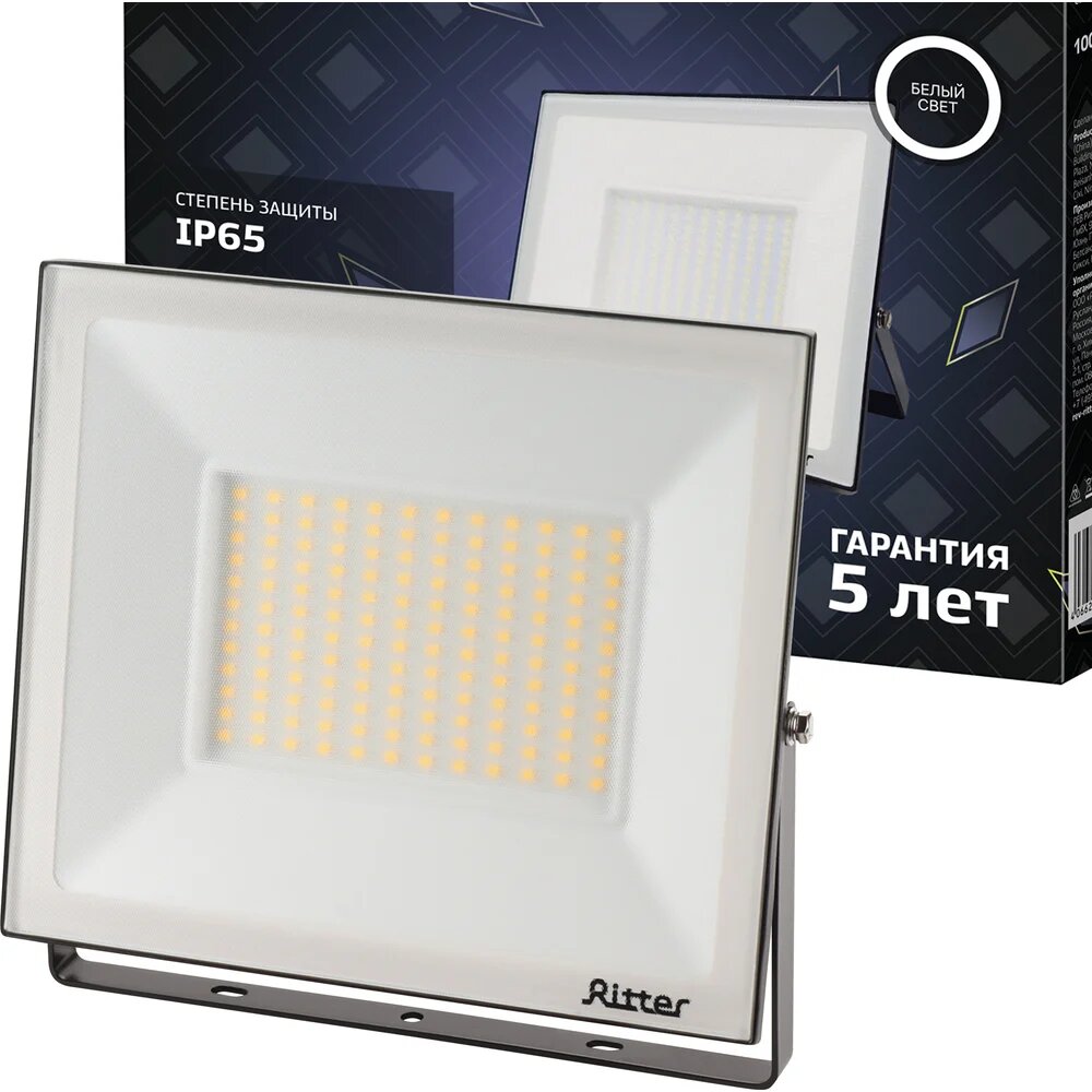 Светодиодный прожектор RITTER серия PROFI 230В 100 Вт 4000К 10000Лм IP65 черный 53419 2, алюминиевый,