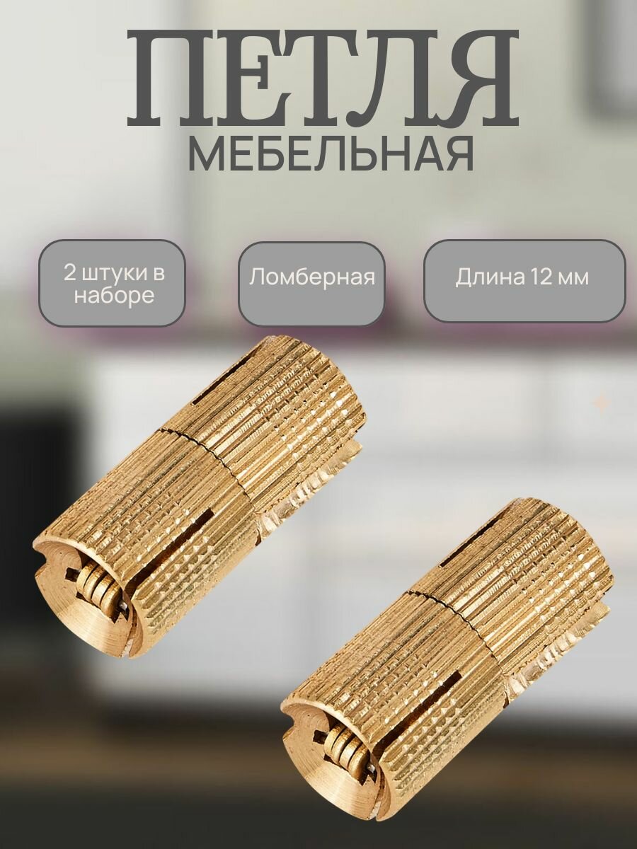 Петля мебельная ломберная, длина 12 мм, 2 шт: для крепления и надежной фиксации откидных деталей мебели.