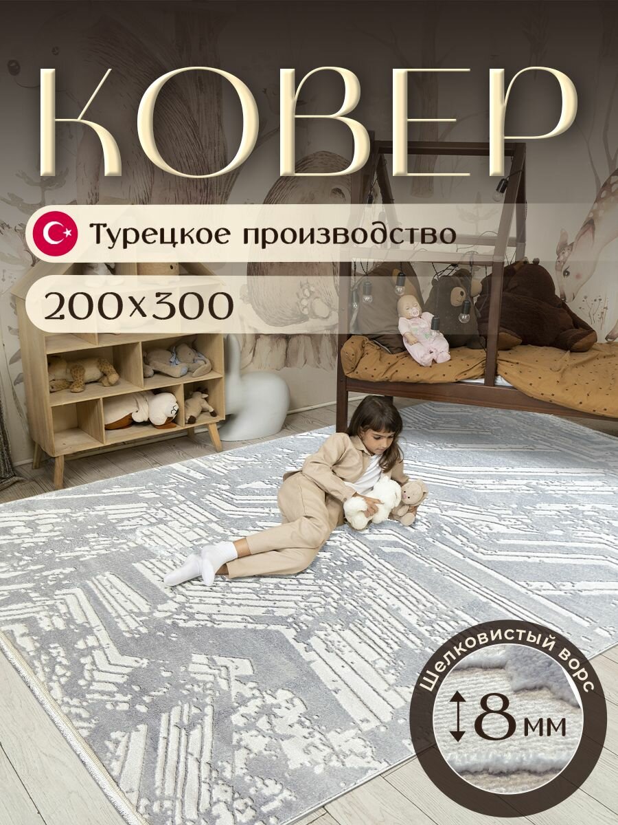 Ковер для комнаты на пол 200х300 см BARKS