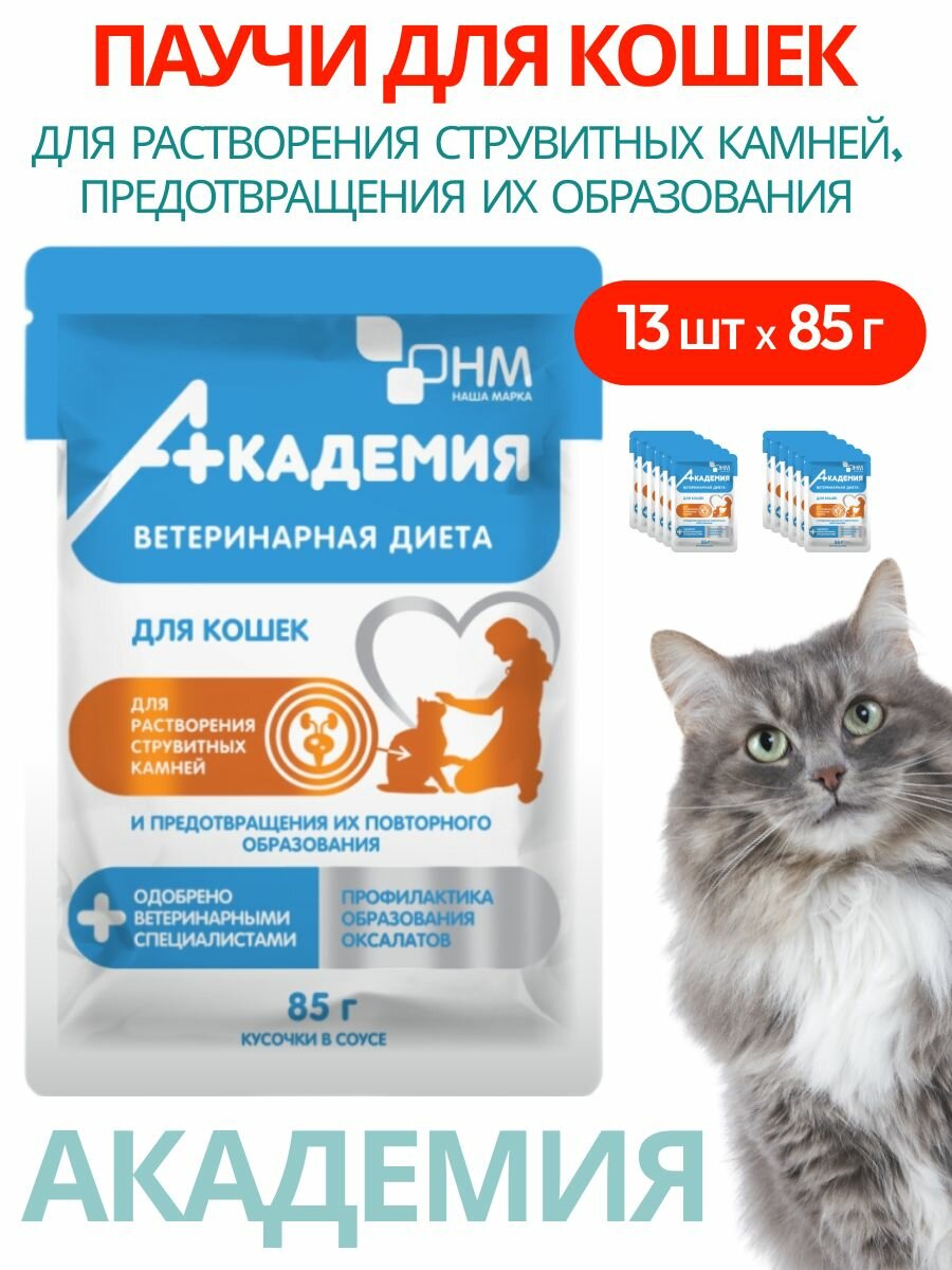 Ветдиета академия паучи для кошек для растворения струвитных камней, предотвращения их образования 85г*13шт