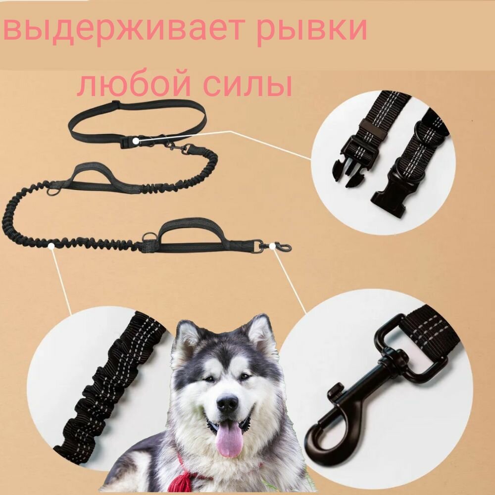 Поводок потяг для бега с собакой Noral