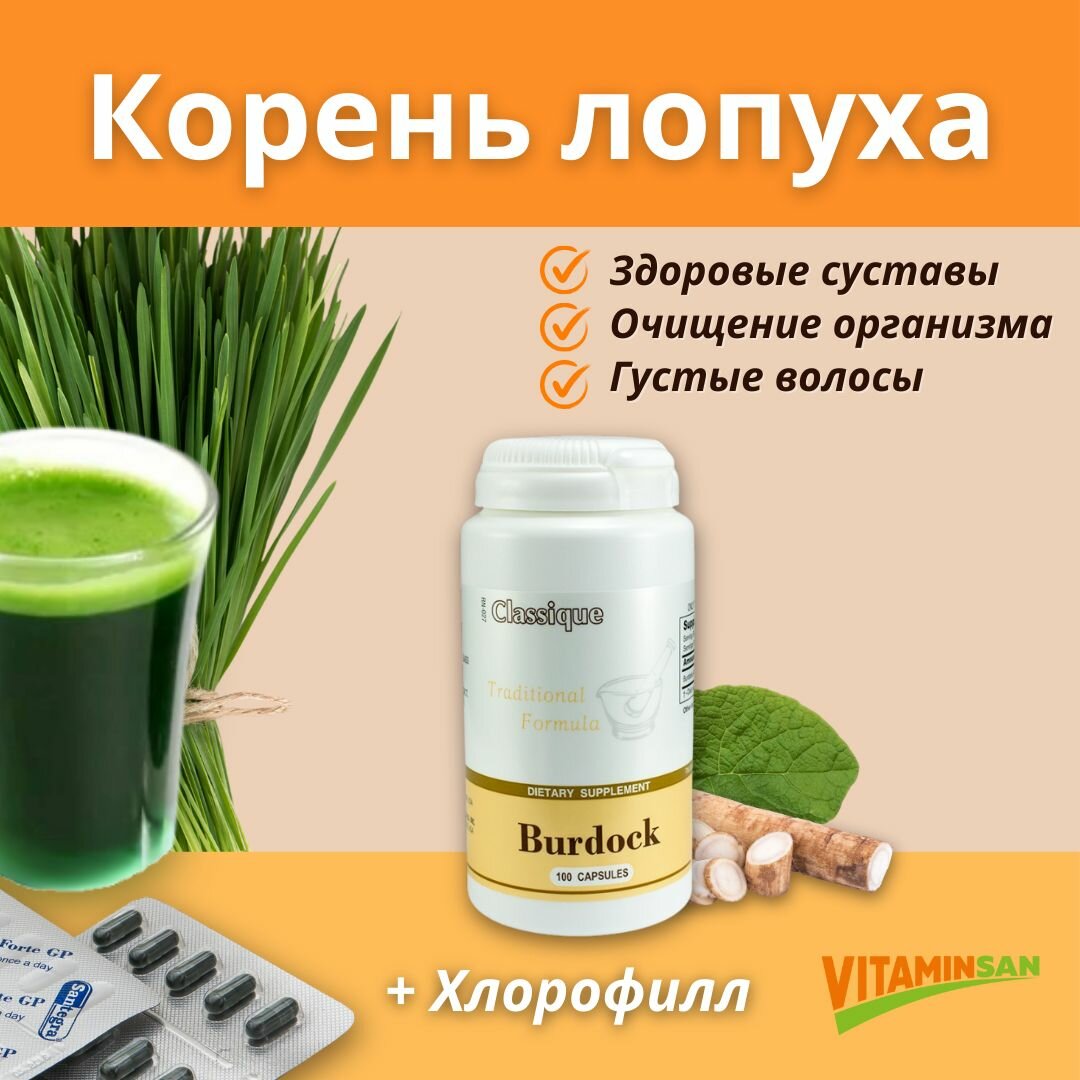 Корень Лопуха Burdock , хлорофилл на 2 недели Santegra экстракт, витамины для суставов, очищение организма, пребиотик - источник инулина, 420 мг, 100 капсул, Сантегра