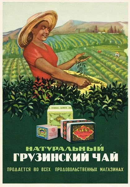 Советский плакат, постер на холсте Реклама грузинского чая. Размер 30 на 42см