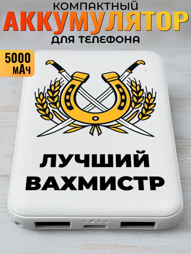 Повербанк "Лучший вахмистр" Казаку