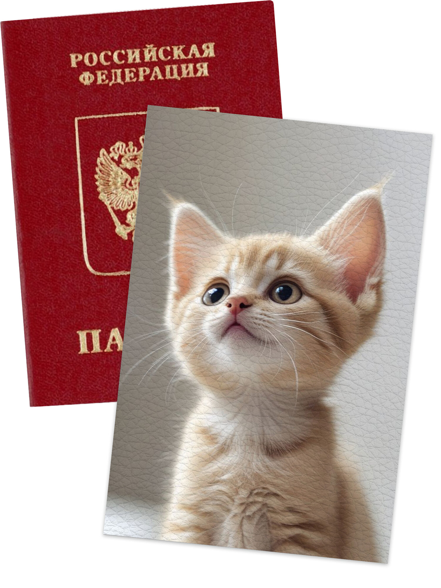 Обложка для паспорта