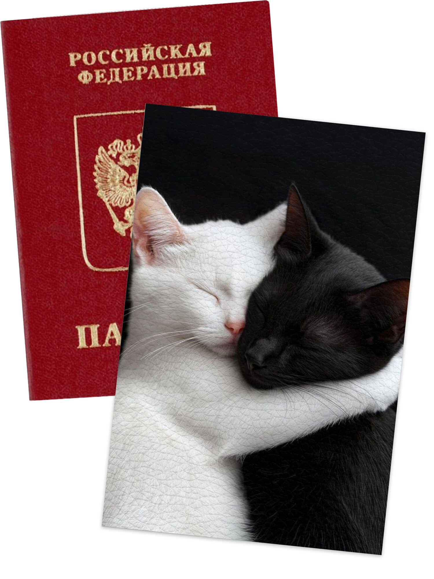 Обложка для паспорта